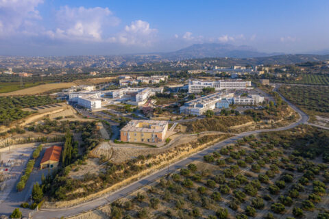 Summer Schools - University of Crete